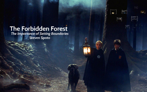 The Forbidden Forrest by Steven Spoto
