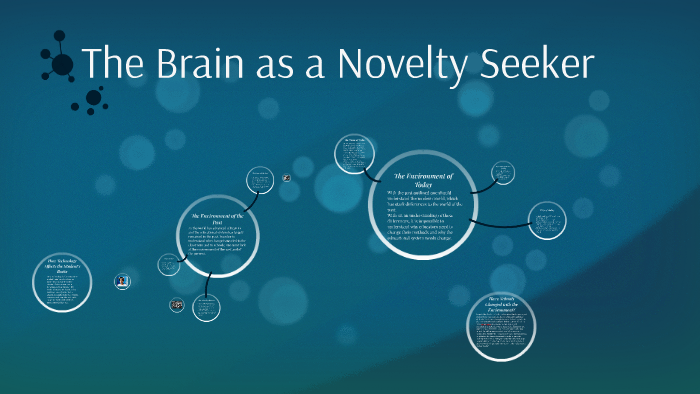 The Brain as a Novelty Seeker by Dakota Bowen on Prezi