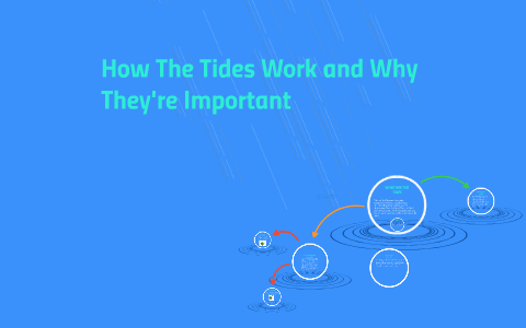How The Tides Work and Why They're Important by izzie johnson on Prezi