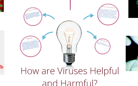How are Viruses Helpful and Harmful? by Kallie Bagnell on Prezi