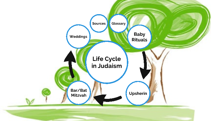 ND 6C Jewish life cycle by ND 6C on Prezi