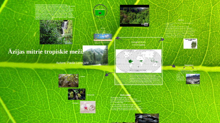 Āzijas mitrie tropiskie meži. by Paula Upesjure on Prezi