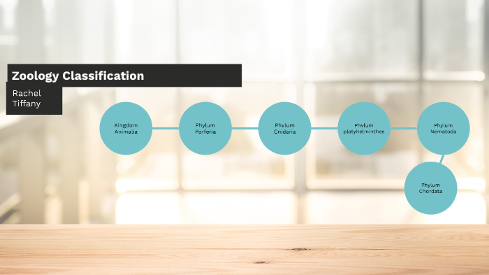 Zoology Classification by Rachel Tiffany on Prezi