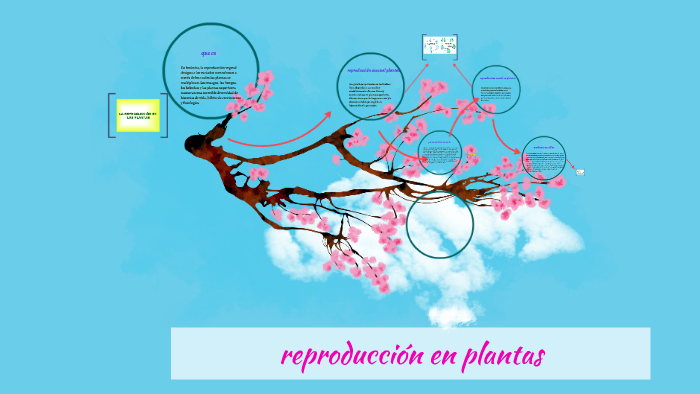 En botánica, la reproducción vegetal designa a los variados by nicol ...