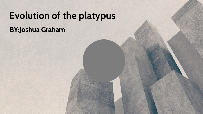Evolution of the Platypus by Joshua Graham on Prezi