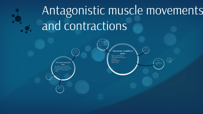 Antagonistic muscle movements and contractions by Robin Montgomery on Prezi