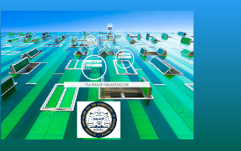 The NAACP ORGANIZATION by kyle king