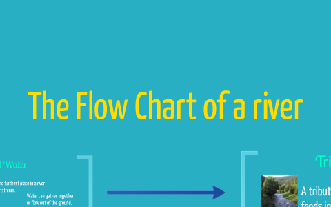 The Flow Chart of a river by Nic Campbell