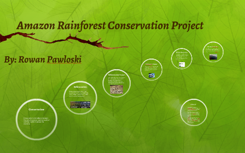 Amazon Rainforest Conservation Project by Rowan Pawloski on Prezi