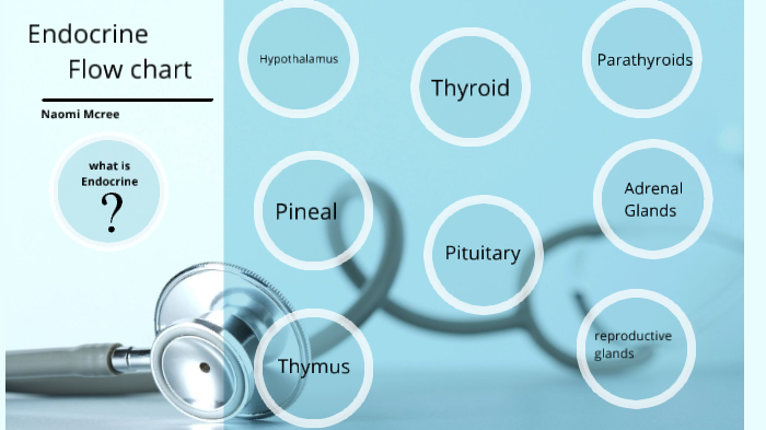 Endocrine flow chart by Naomi McRee on Prezi