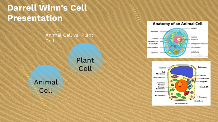 Darrell Winn's Cell Presentation by Alice Winn on Prezi
