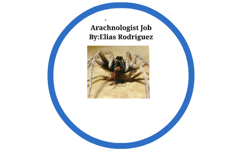 Arachnologist Job by Elias Rodriguez