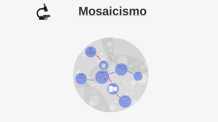 Mosaicismo Germinal Por Qué La Edición De La Línea Germinal Humana