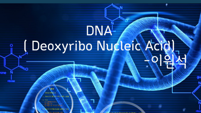 DNA(Deoxyribo Nucleic Acid) by 원석 이 on Prezi