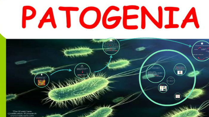 PATOGENIA by RICARDO JESUS on Prezi