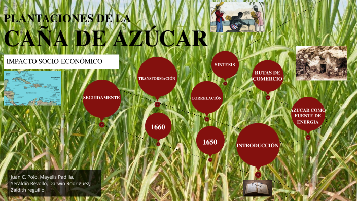 Caribe colombiano- caña azucar by Mayelis Padilla Rodriguez on Prezi