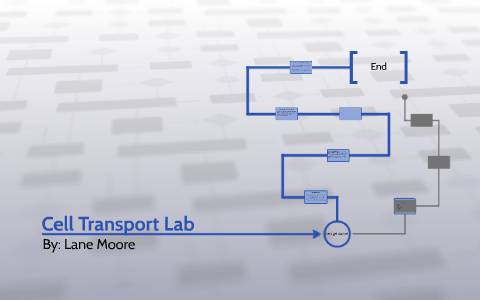 Cell Transport Lab by madison murphy on Prezi