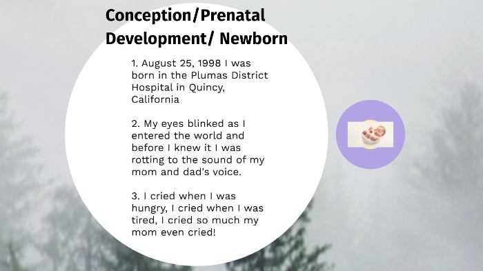 Lifespan Map by Haley Cline on Prezi