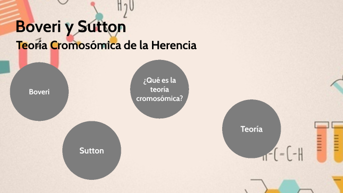 Boveri y Sutton by Hanah Dris Mohamed on Prezi