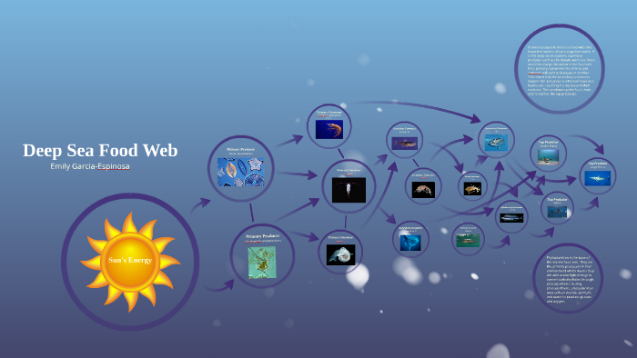 Deep Sea Food Web by Emily Garcia-Espinosa on Prezi