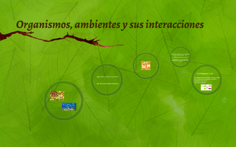Organismos, ambientes y sus interacciones by on Prezi
