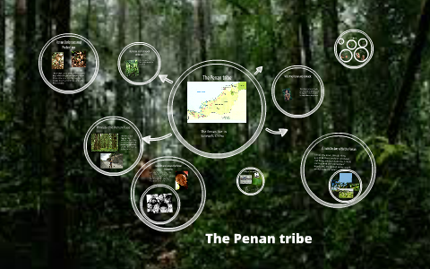 The Penan tribe by Riki Fujihara on Prezi