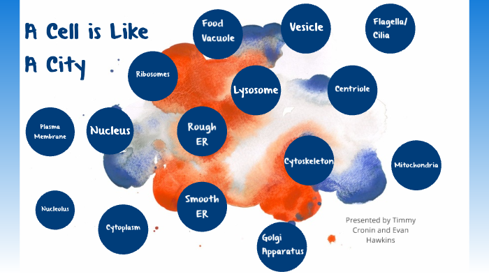 Cell Analogy: City by Timmy Cronin on Prezi