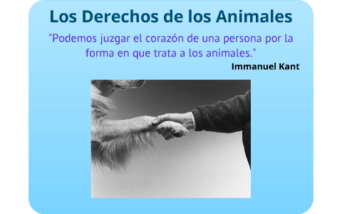 Los derechos de los animales by nuria perez