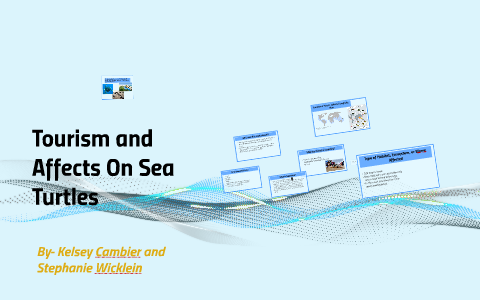 Tourism and Affects On Sea Turtles by Kelsey Cambier on Prezi