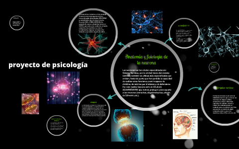 proyecto de psicologia by on Prezi
