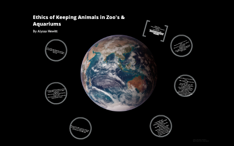 Ethics of Keeping Animals in Zoo's and Aquariums by Alyssa Hewitt on Prezi