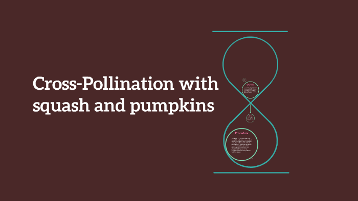 Cross-Pollination with squash and pumpkin by Faith Grewe on Prezi