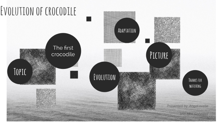 evolution of crocodile by Unknown Unknown on Prezi