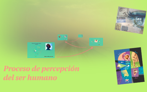 Proceso de percepción del ser humano by Shuna Sarmiento on Prezi