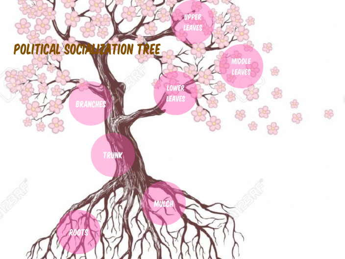 Political Socialization Tree by Nicole gomez on Prezi