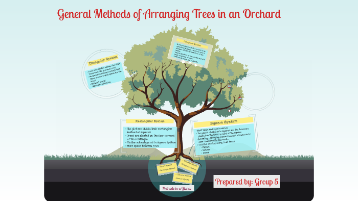 Methods of Arranging Trees by Arvin Arquileta on Prezi