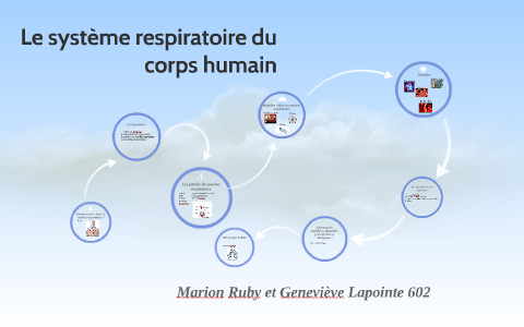 Le système respiratoire du corps humain by Marion Ruby on Prezi