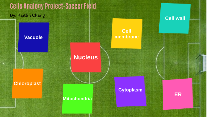 Cell Analogy Project-Soccer Field by Kaitlin Chang on Prezi