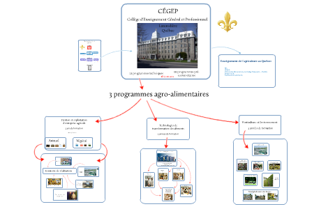 Système scolaire au Québec by Sylvie Gauthier on Prezi