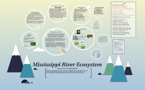 Mississippi River Ecosystem (Derek Moore, Damion Ulrich, Geovane Santos ...