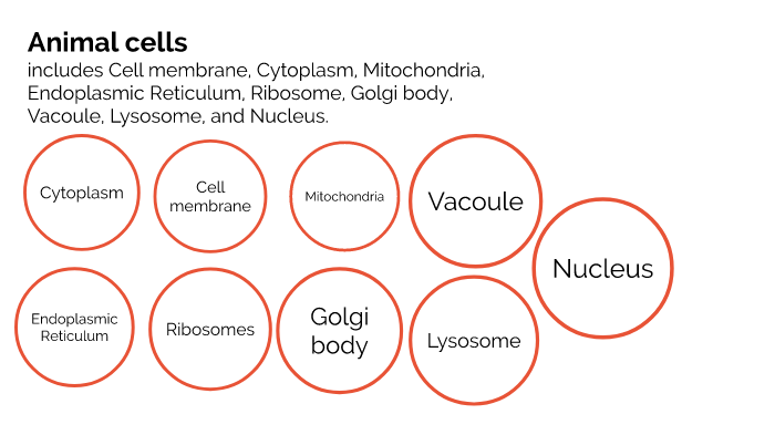 Cell RAFT by Ian Lane on Prezi