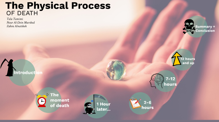 The process of death by Munia Tamimi on Prezi