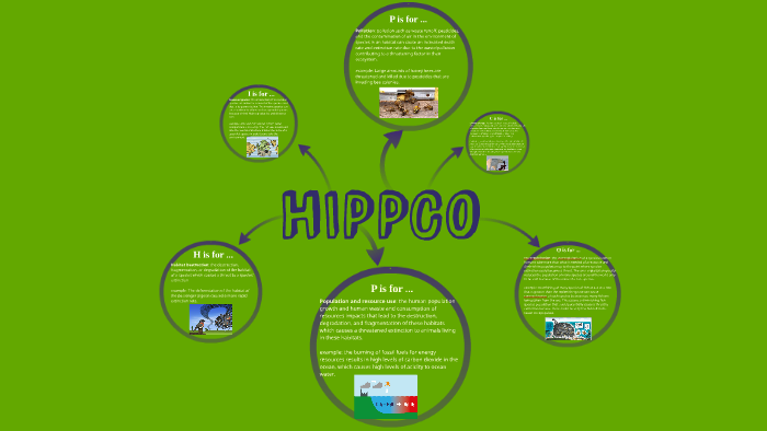 HIPPCO by Carolina Martinez on Prezi