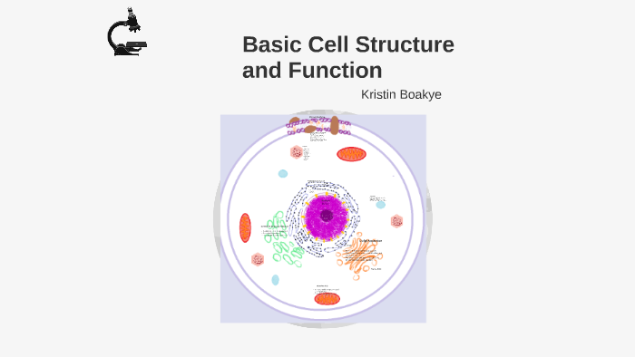Basic Cell Structure and Function by on Prezi