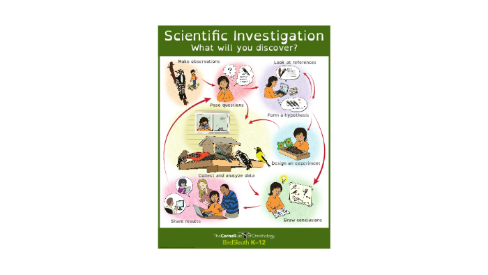 Investigating Evidence - Science Process Poster by Kelly Schaeffer on Prezi