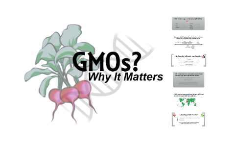 GMOs?--Why It Matters by Ronna Min on Prezi