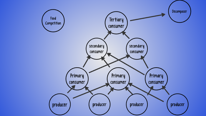 Alabama Food Web by savanna pelfrey on Prezi
