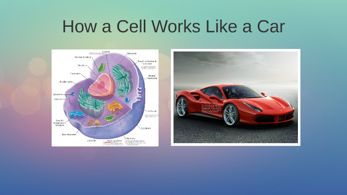 How a Cell is Like a Car by Ryan Lebo on Prezi