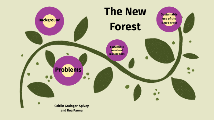 New Forest by Caitlin Grainger-Spivey on Prezi