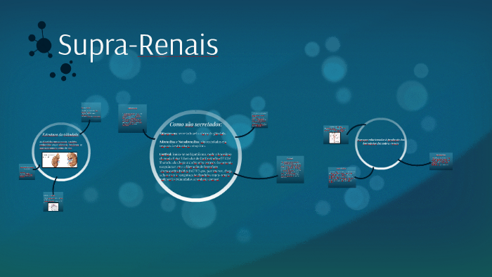 Supra-Renais by Graciele Fátima on Prezi